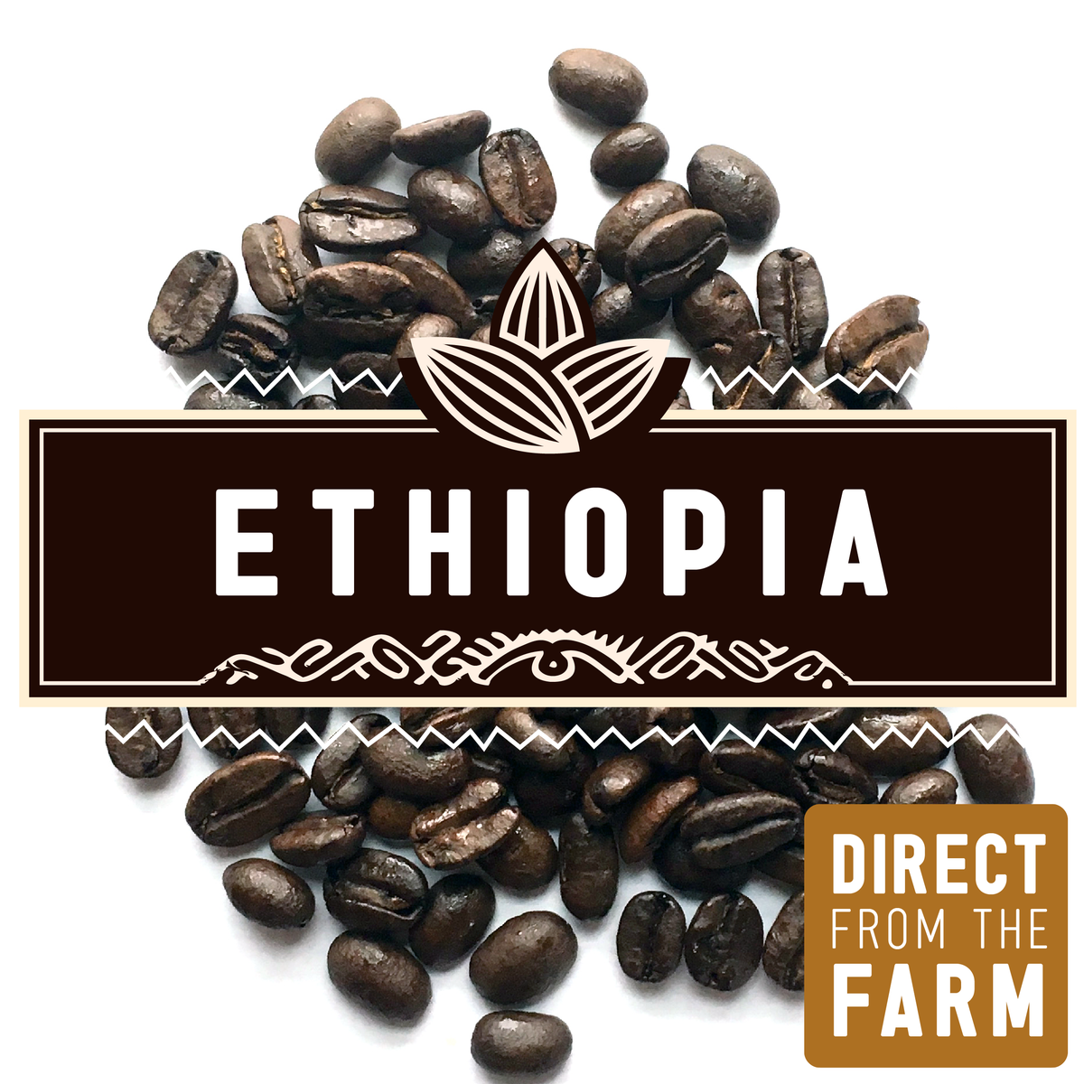 Ethiopia Lekempti Washed Medium Roast | Bulk 5lb. – Hemisphere Coffee ...